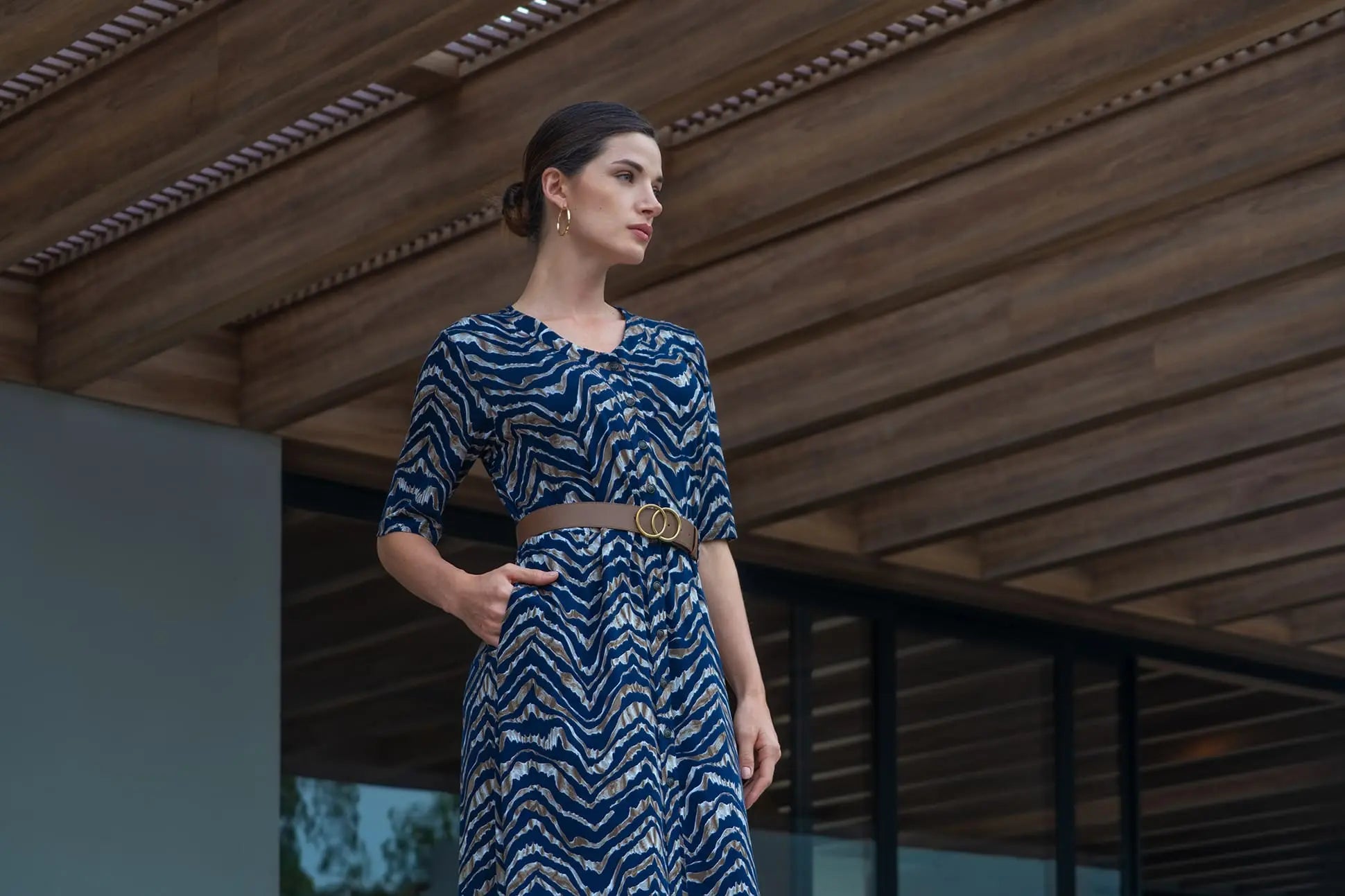 Dimetry: La Poesía de la Elegancia Silenciosa – Vitos